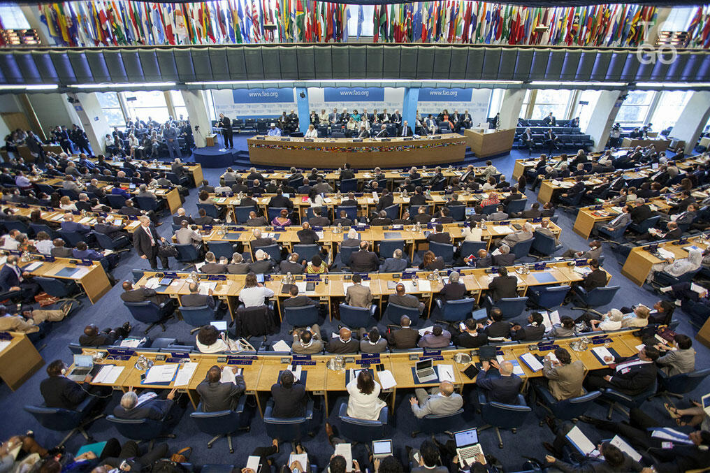 Ouverture du sommet de la FAO à Rome - République Togolaise