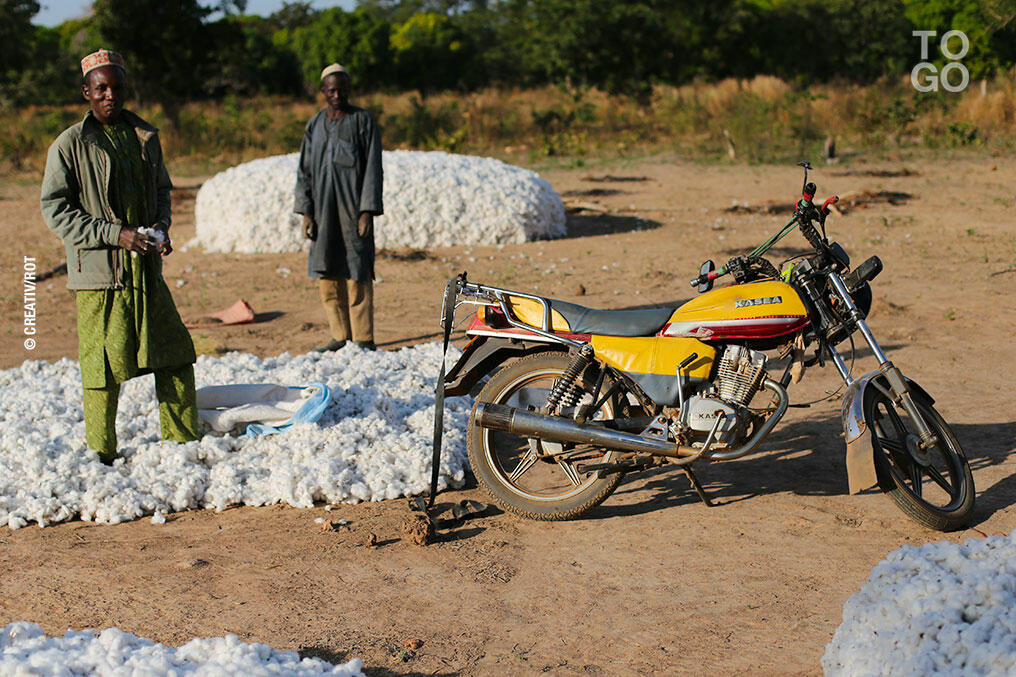 Adhésion des producteurs à la nouvelle vision de la NSCT - République ...