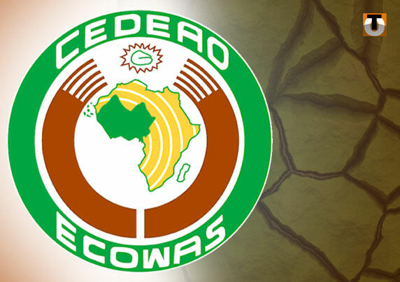 ECOWAS recommends regional food stock to curtail food crisis ...
