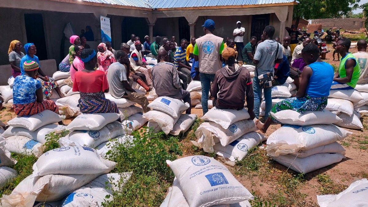 Intrants : coup de pouce vital pour les producteurs de la Kara ...