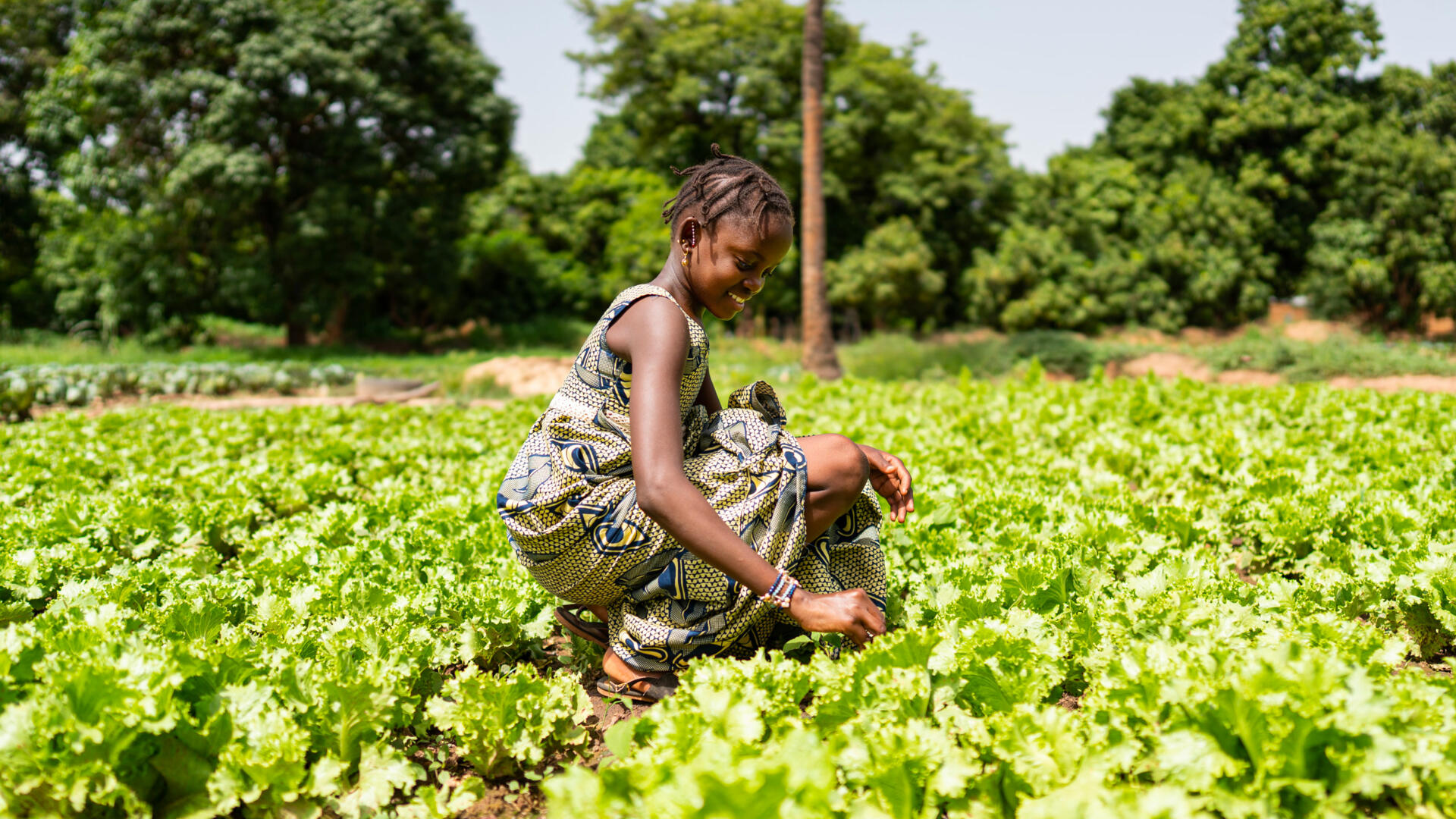500.000 hectares cartographiés - République Togolaise