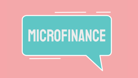 Forte croissance de la microfinance - République Togolaise