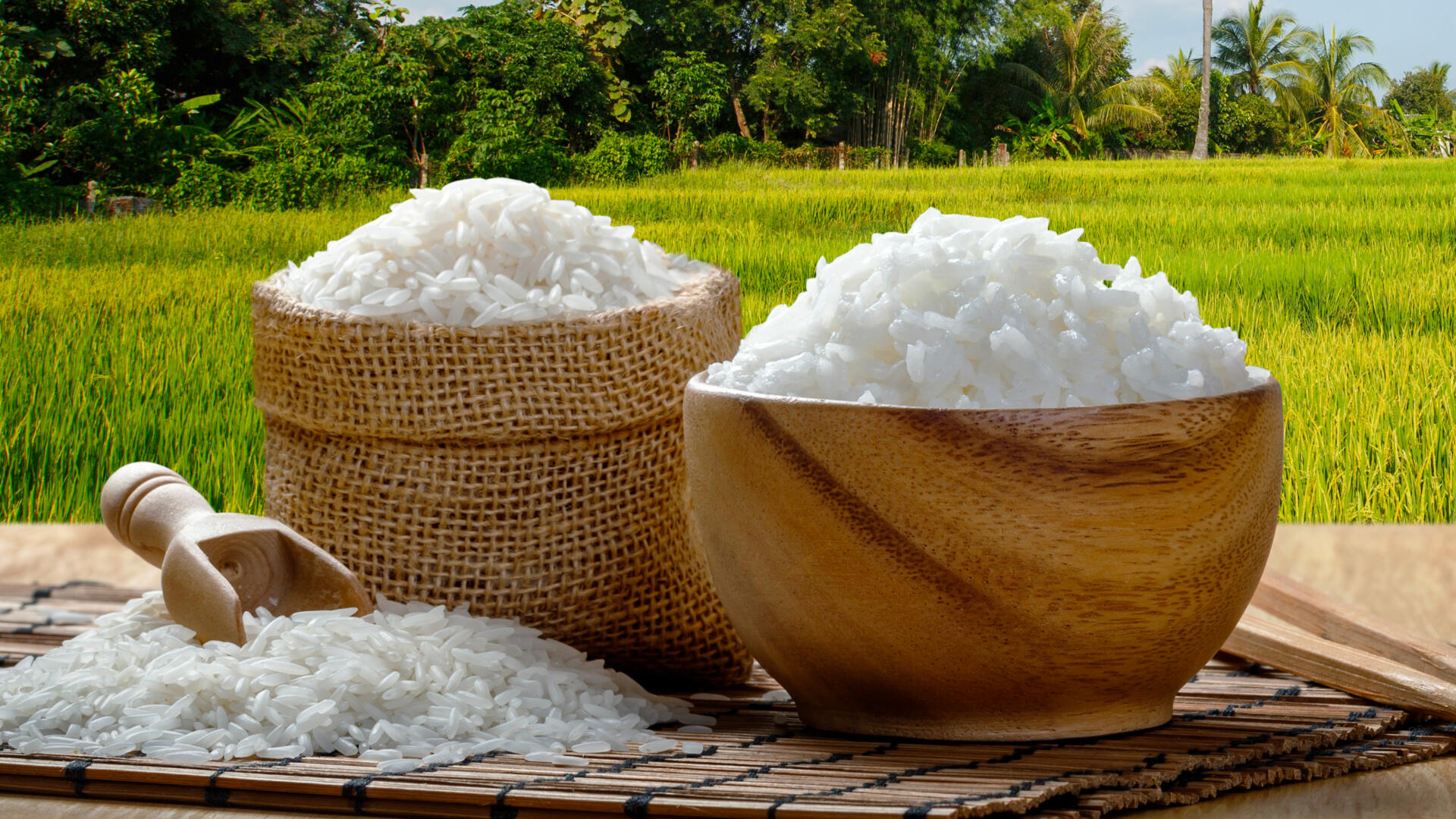 Grâce à Jasmine, les producteurs de riz ont le sourire - République ...