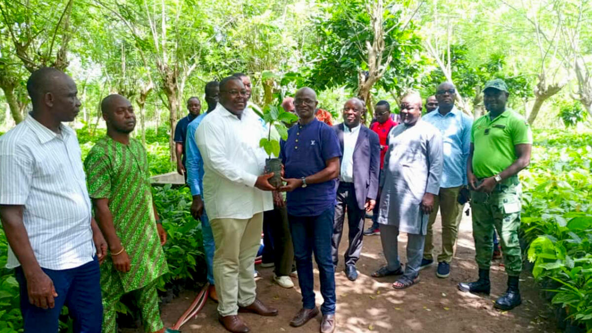 kpalim-au-c-ur-d-une-strat-gie-de-relance-caf-i-re-et-cacaoy-re