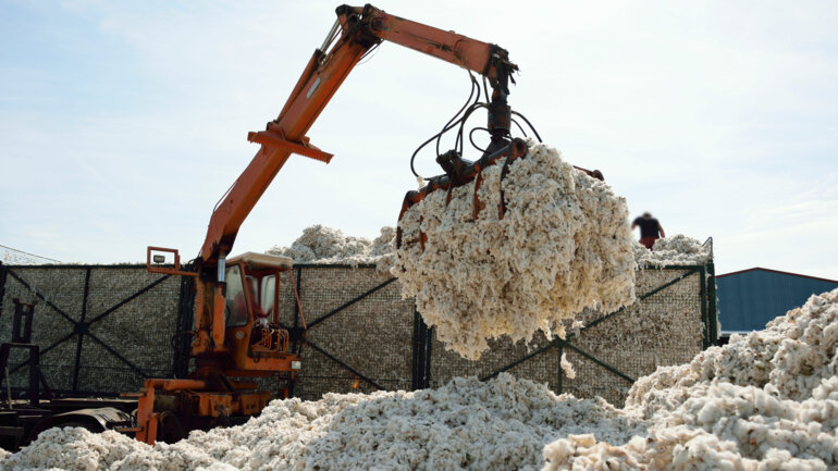 Relancer la production de coton est une priorité - République Togolaise