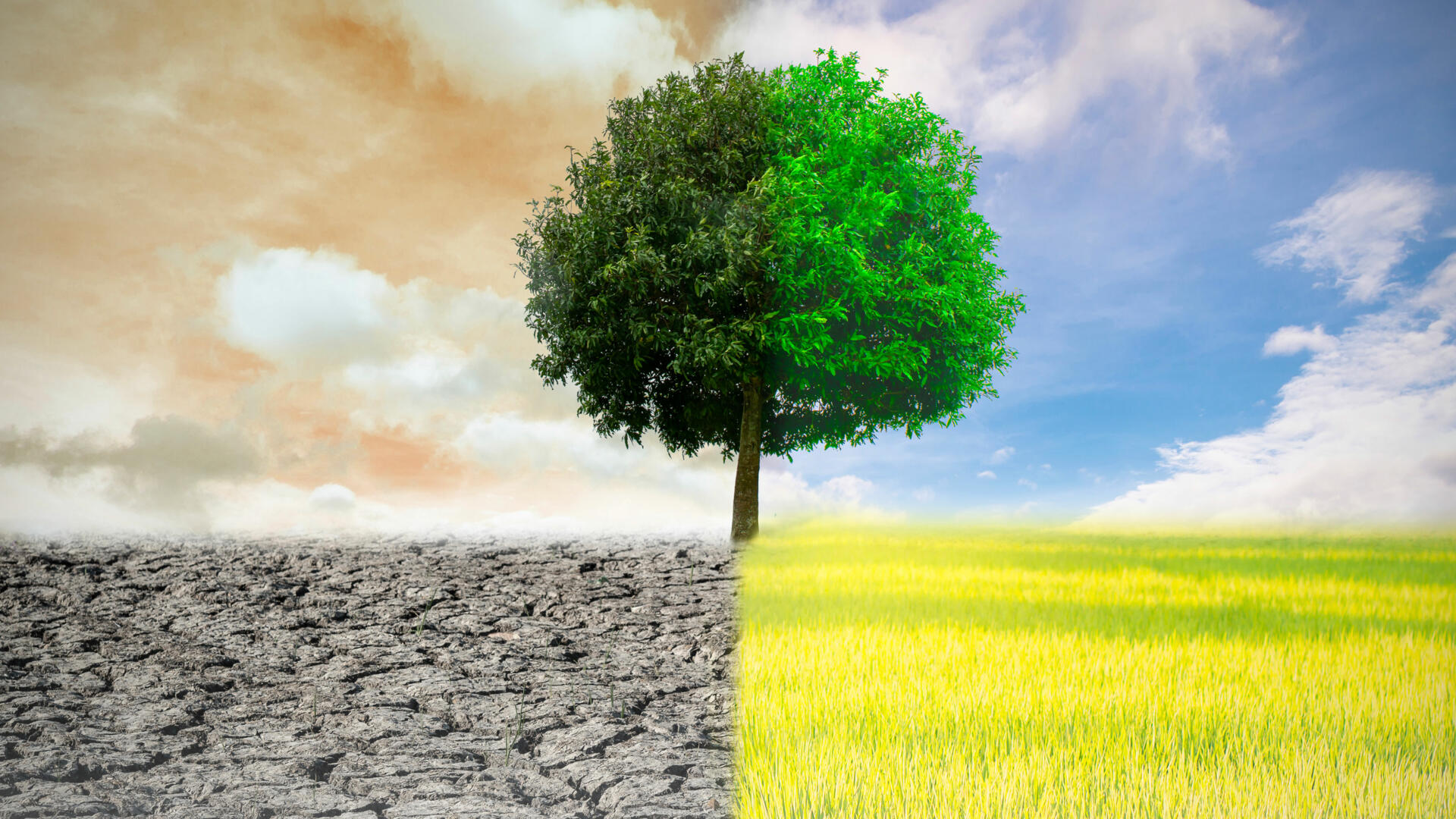Nécessaire adaptation aux changements climatiques - République Togolaise