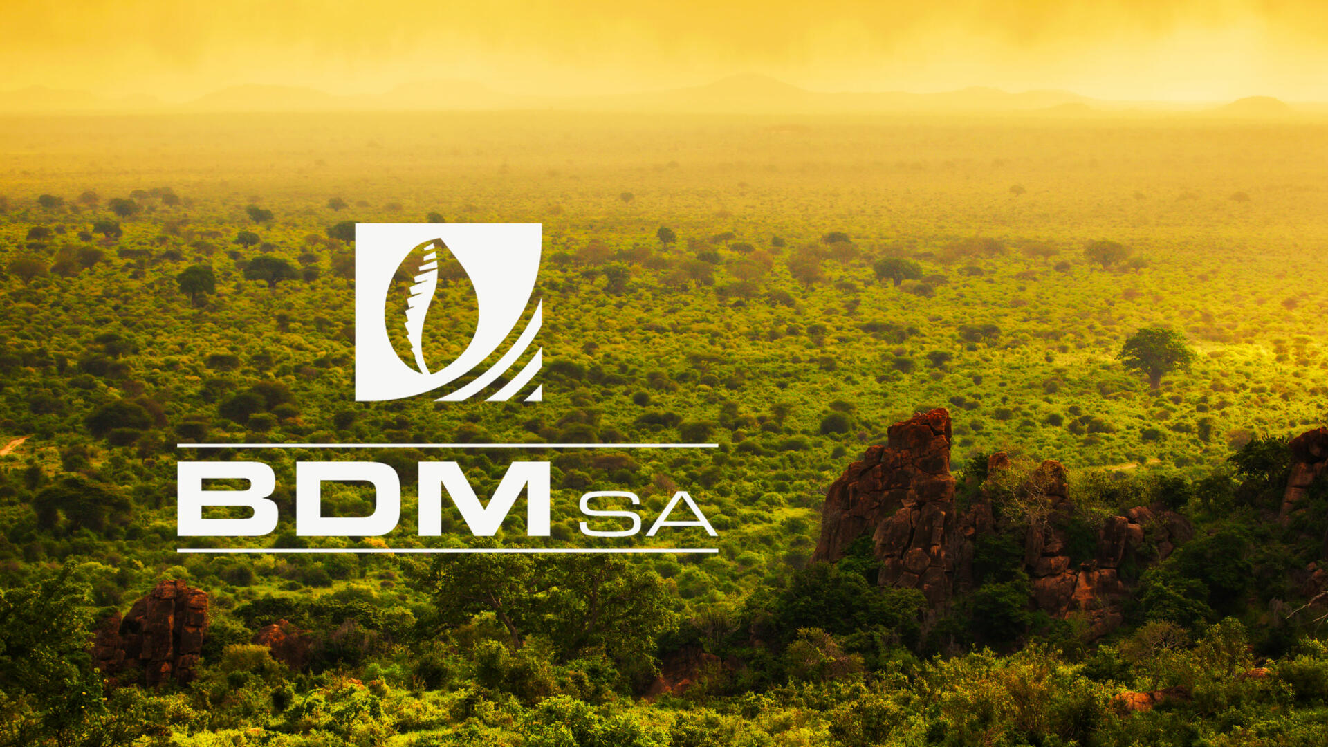 Un partenariat avec la BDM pour financer les projets environnementaux - République Togolaise