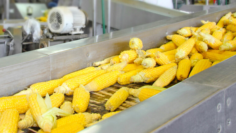 Agro-industrie : 10 projets en cours de développement - République ...