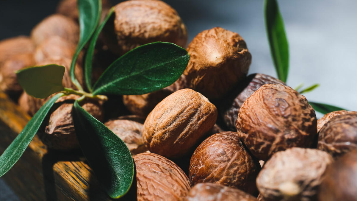 Le karité, produit star - République Togolaise