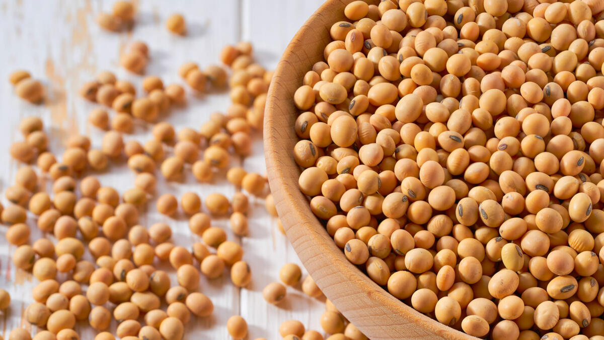 SOS soja - République Togolaise